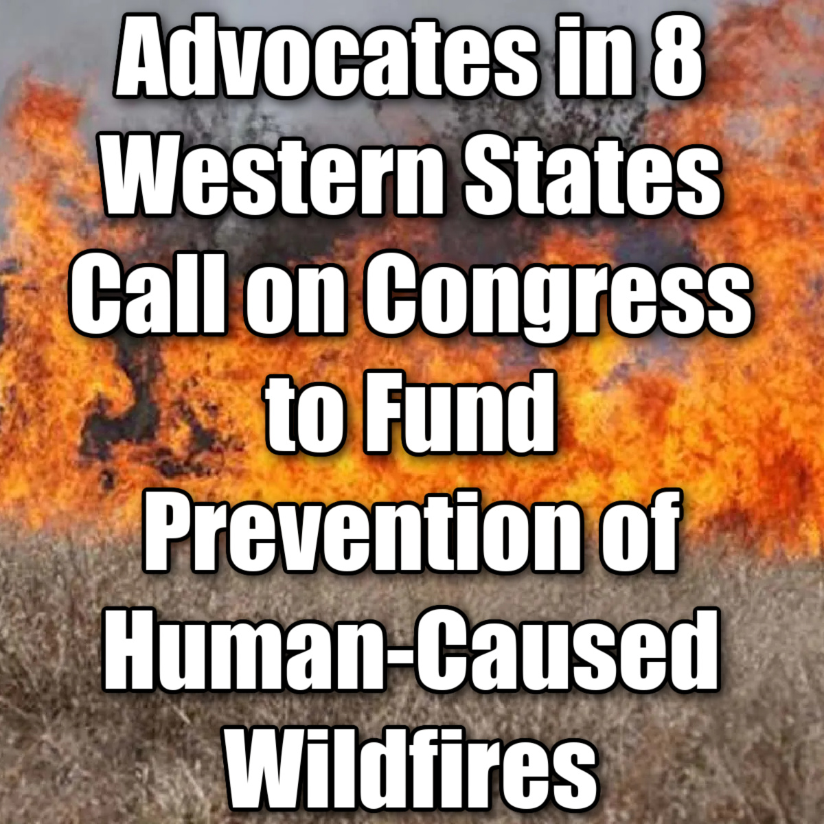 Advocates in Eight Western States Call on Congress to Fund Prevention ...