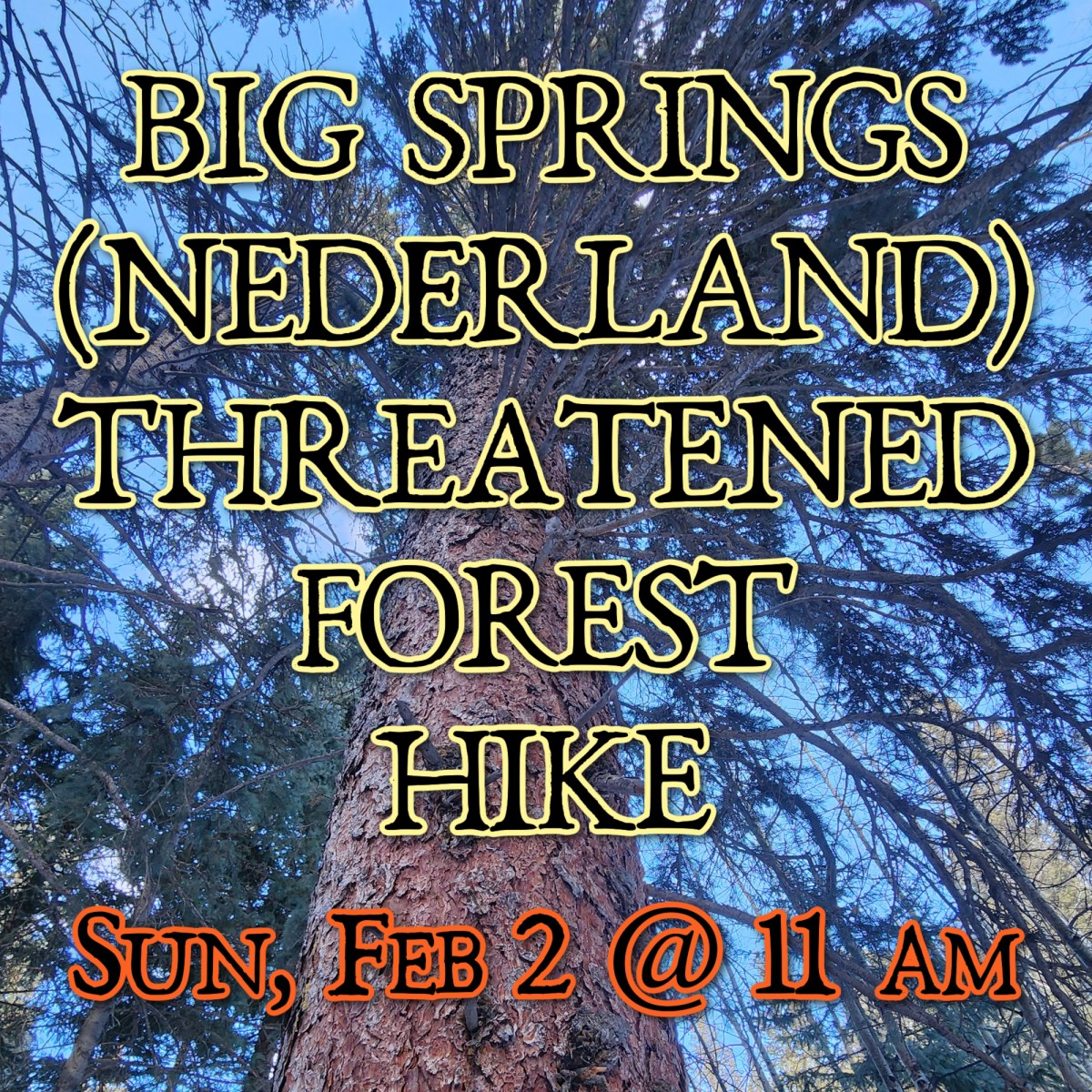 BIG SPRINGS THREATENED FOREST HIKE – Sunday, February 2 @ 11 am – Nederland – The Colorado ...