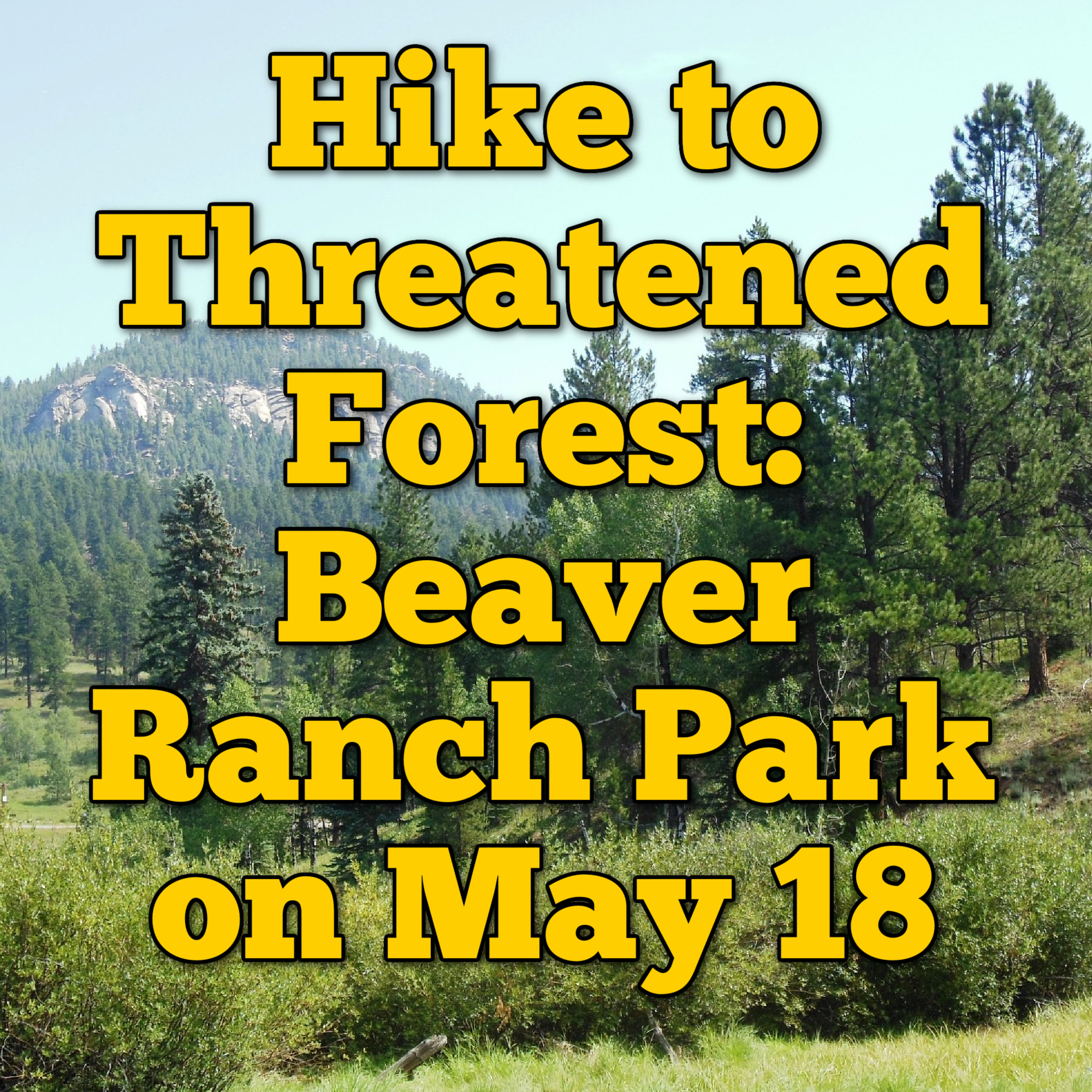 RSVP for Hike to Threatened Forest: Beaver Ranch Park (Conifer, CO ...