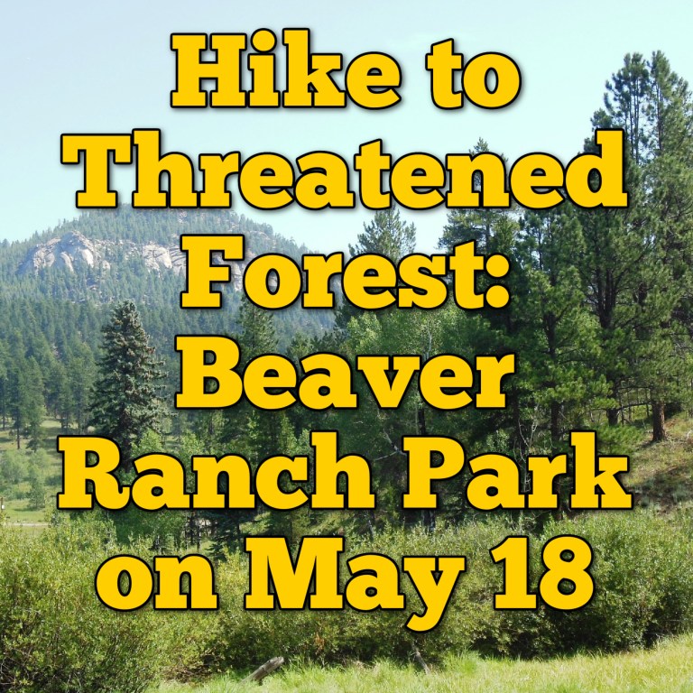RSVP for Hike to Threatened Forest: Beaver Ranch Park (Conifer, CO ...