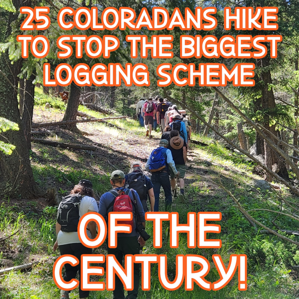 25 Coloradans Hike to Stop the Biggest Logging Scheme of the Century ...